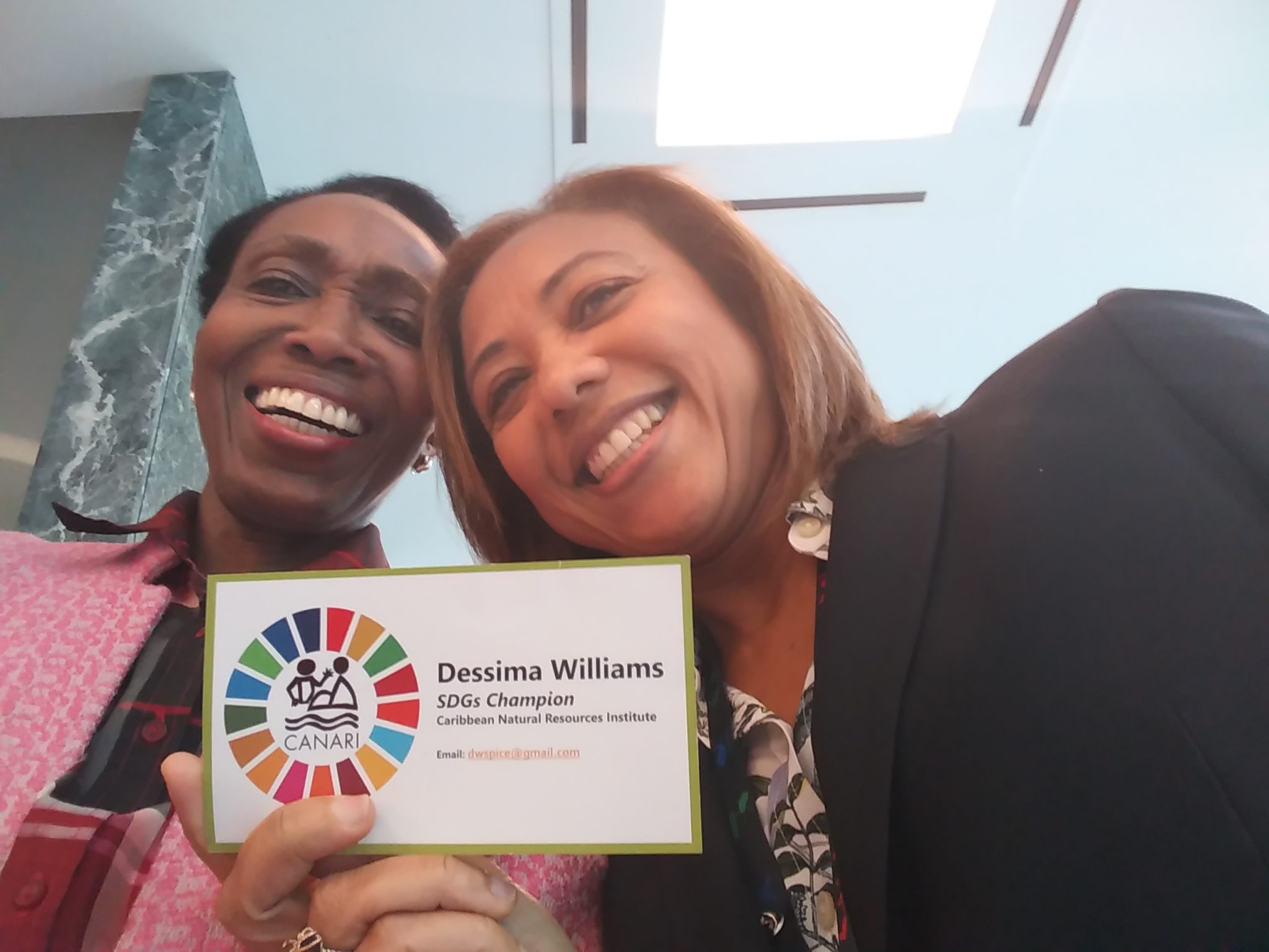 CANARI – a Caribbean Sustainable Development Goals (SDGs) Champion ...