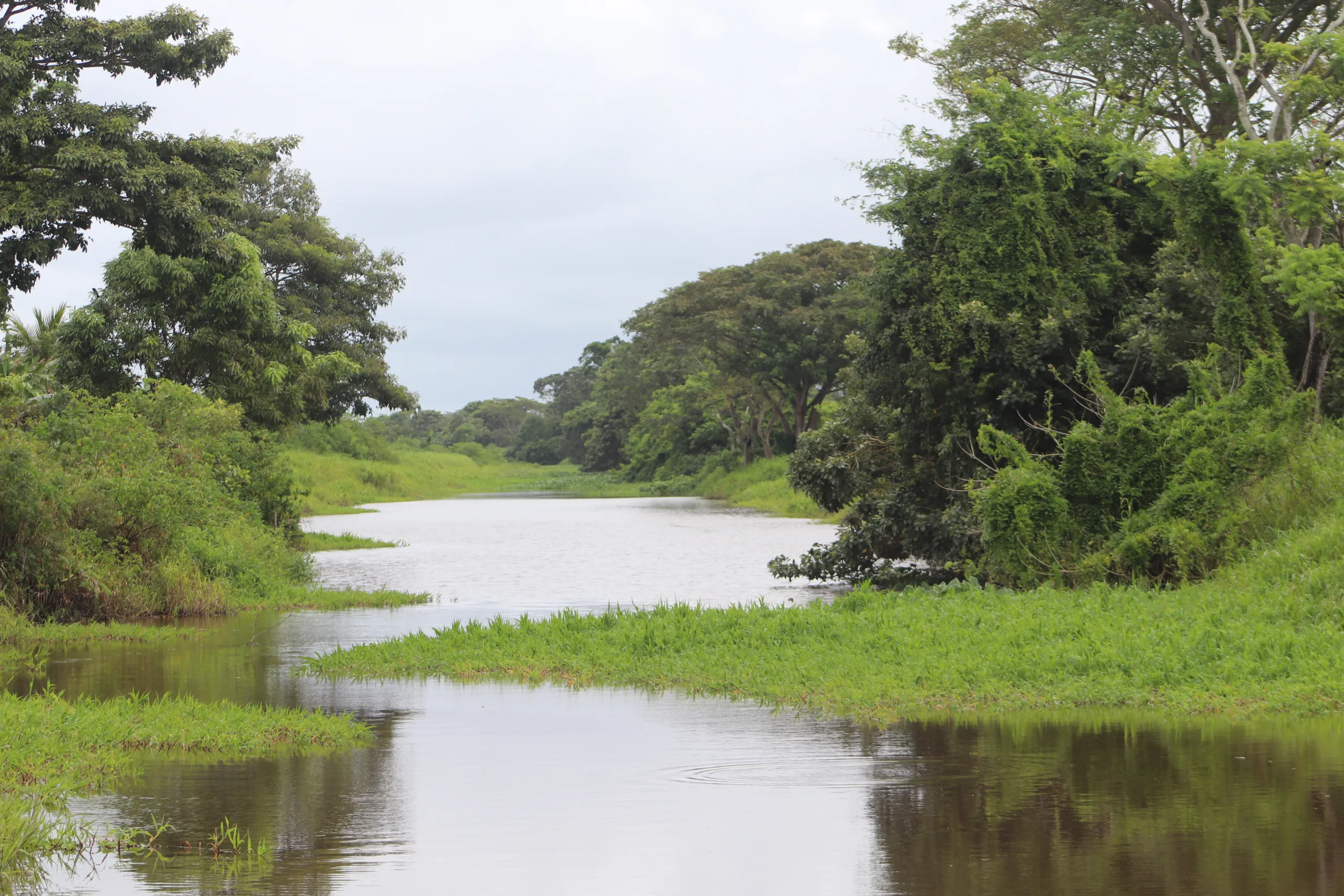 Biodiversity conservation and agroecological land restoration in ...